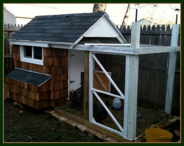 hen house – TBN Ranch Chicken Keeping Resources