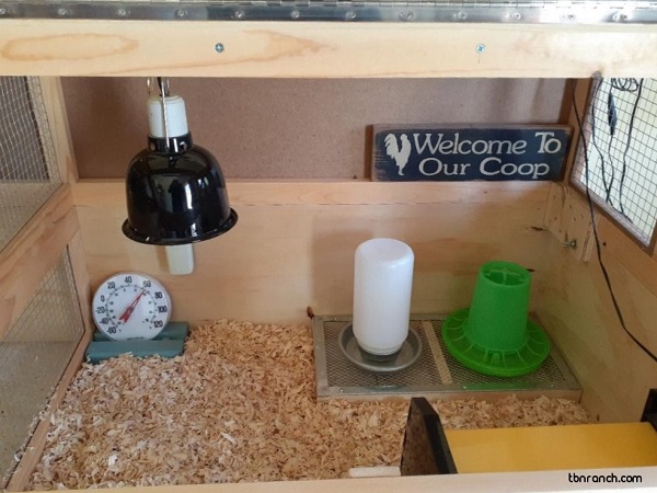 Chicken Coops Pics & Plans – TBN Ranch Chicken Keeping Resources