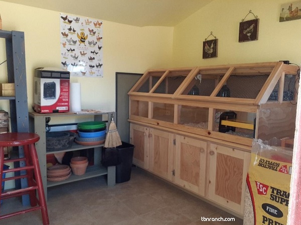 Chicken Coops Pics & Plans – TBN Ranch Chicken Keeping Resources