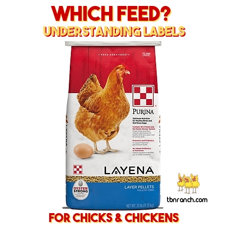 Choosing the Right Feed For Chicks and Chickens – TBN Ranch Chicken ...