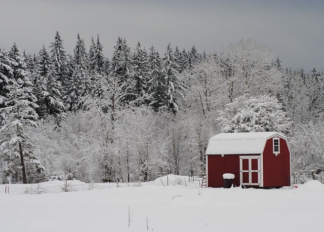 Chicken Keeping in Winter – TBN Ranch Chicken Keeping Resources