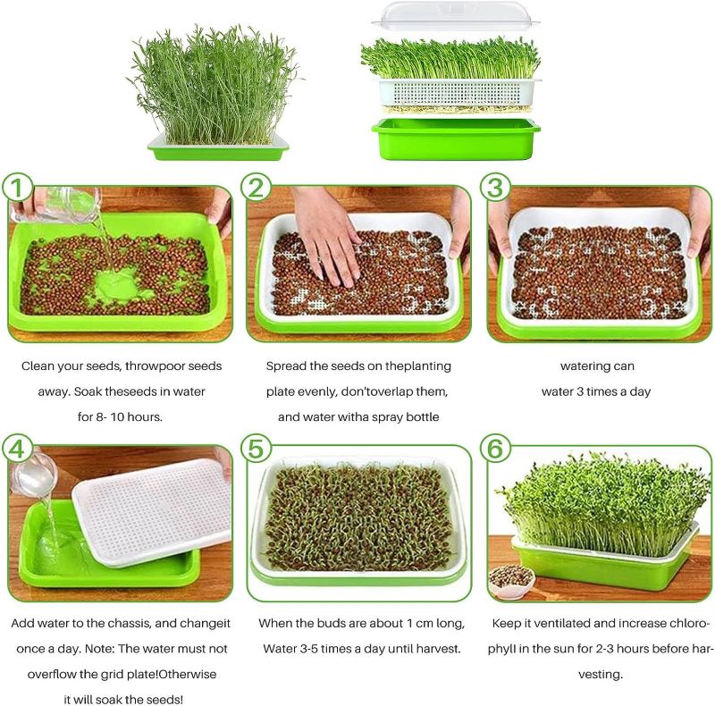 How to Grow Fodder, Sprouted Greens for Chickens – TBN Ranch Chicken Keeping Resources